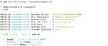 Front-end development in OpenCms with Vite | Alkacon OpenCms